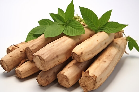 Maracheeni Images – Browse 56 Stock Photos, Vectors, and Video | Adobe ...