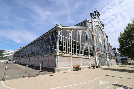 Frery Images – Browse 8 Stock Photos, Vectors, and Video | Adobe Stock