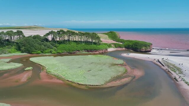 รูปภาพCaniforms – เลือกดูภาพถ่ายสต็อก เวกเตอร์ และวิดีโอ4,580 | Adobe Stock