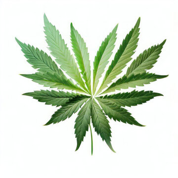 "Entourage Effect" Images – Browse 621 Stock Photos, Vectors, and Video ...