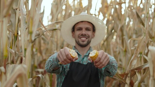 Corn Farming Images – Browse 752,677 Stock Photos, Vectors, and Video ...