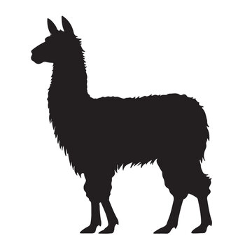Llama Head Silhouette
