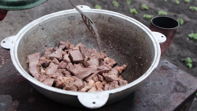 Entrails Images – Parcourir 5,477 le catalogue de photos, vecteurs et ...