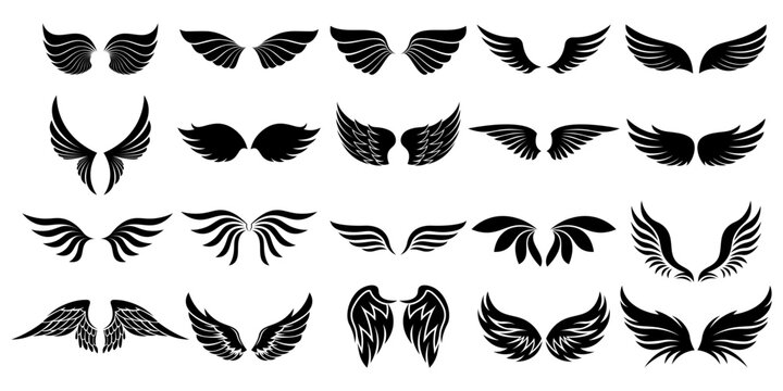 Wings Vector Png