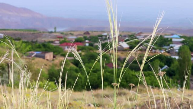 Farest Images – Browse 47 Stock Photos, Vectors, and Video | Adobe Stock