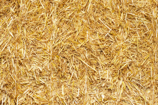 "Straw Background" Images – Browse 713 Stock Photos, Vectors, and Video ...