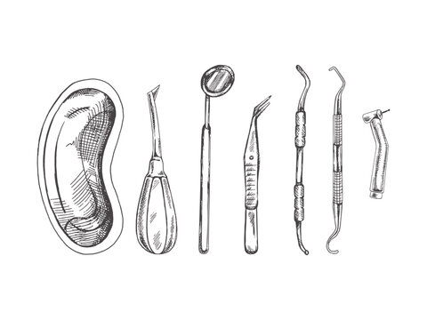 Dental Assistant Tools Names