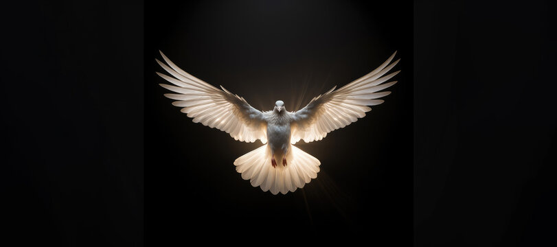 Pinse Billeder – Gennemse 24,563 stockfotos, vektorer og videoer ...