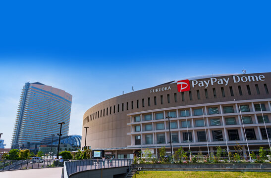 Paypay bilder – Bläddra bland 233 stockfoton, vektorer och videor | Adobe Stock