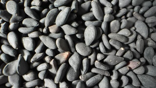 "Edible Seed" Imagens – Procure 1,800 fotos, vetores e vídeos | Adobe Stock