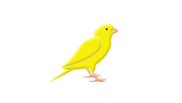 "Wild Canary" Images – Browse 203 Stock Photos, Vectors, and Video ...