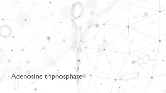 "Adenosine Triphosphate" Images – Browse 2,574 Stock Photos, Vectors, and Video | Adobe Stock