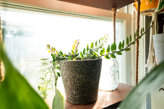 "Shelf Life" Images – Browse 11,420 Stock Photos, Vectors, and Video ...