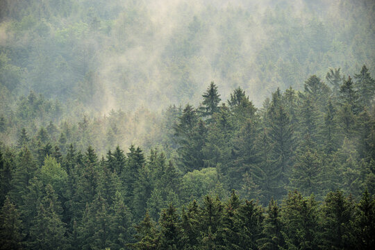 รูปภาพNebelig – เลือกดูภาพถ่ายสต็อก เวกเตอร์ และวิดีโอ14,118 | Adobe Stock