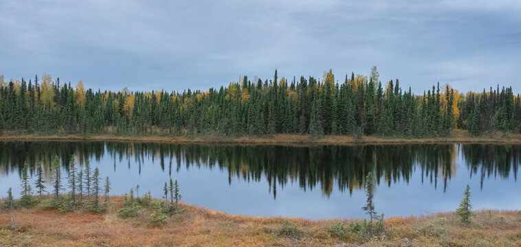 Guy Bryant photos, images, assets | Adobe Stock