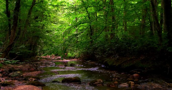 "Soothing Landscape" Images – Browse 436 Stock Photos, Vectors, and ...