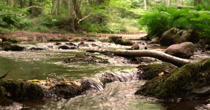 "Soothing Landscape" Images – Browse 220 Stock Photos, Vectors, and ...