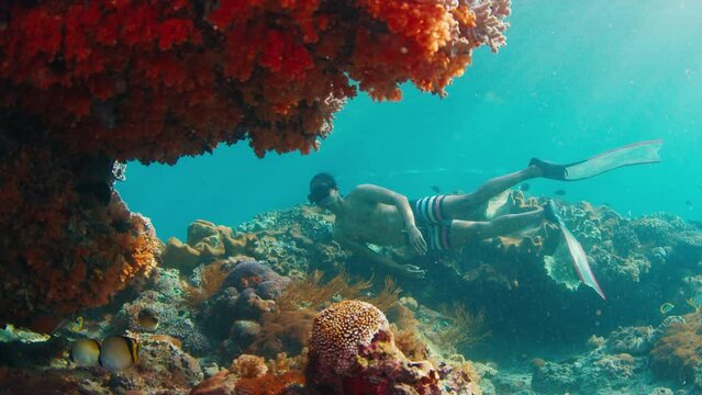 "Skin Diving" Images – Parcourir 6,072 le catalogue de photos, vecteurs ...