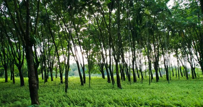 "Positive Vibration" Images – Browse 146 Stock Photos, Vectors, and ...