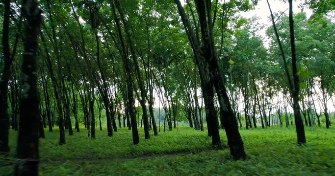 "Positive Vibration" Images – Browse 185 Stock Photos, Vectors, and ...