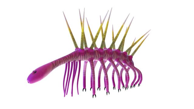 รูปภาพHallucigenia – เลือกดูภาพถ่ายสต็อก เวกเตอร์ และวิดีโอ63 | Adobe Stock