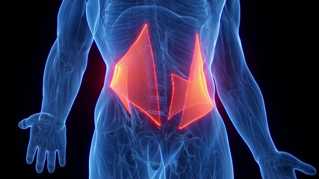 Internal Oblique Pain