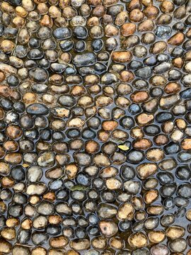 "Pebble Paving" Images – Browse 16 Stock Photos, Vectors, and Video ...