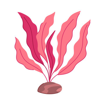 Sea Moss Vector Images – Browse 1,491 Stock Photos, Vectors, and Video ...