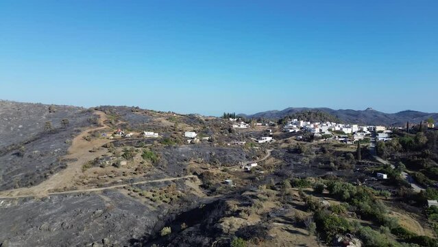 Imágenes de Asklepion: descubre bancos de fotos, ilustraciones ...