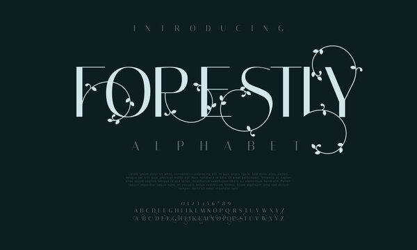 Forestly Images – Browse 30 Stock Photos, Vectors, and Video | Adobe Stock