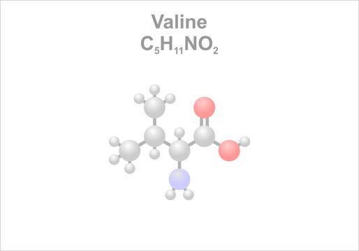 รูปภาพValine – เลือกดูภาพถ่ายสต็อก เวกเตอร์ และวิดีโอ1,936 | Adobe Stock