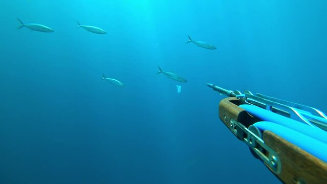 Eloping Imagens – Procure 11,673 fotos, vetores e vídeos | Adobe Stock