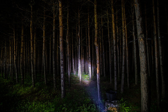 zef art photos, images, assets | Adobe Stock