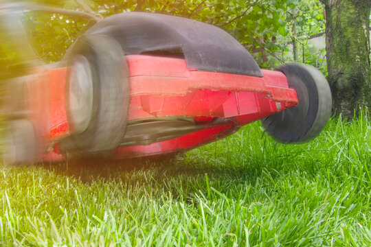 รูปภาพGrass-Cutter – เลือกดูภาพถ่ายสต็อก เวกเตอร์ และวิดีโอ3,938 ...