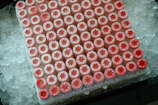 Cryotube Images – Browse 64 Stock Photos, Vectors, and Video | Adobe Stock