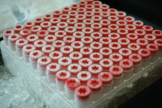 Cryotube Images – Browse 64 Stock Photos, Vectors, and Video | Adobe Stock