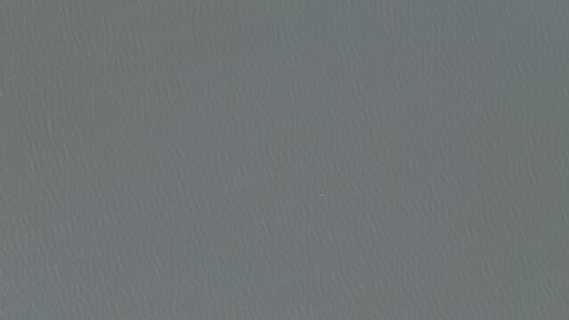 Muckleheads Images – Parcourir 1,284 le catalogue de photos, vecteurs ...