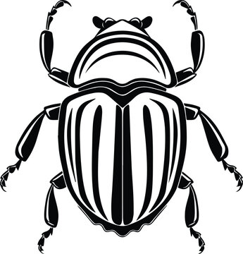 Beetle Clipart Black And White
