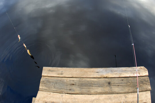 Ledgering Images – Browse 86 Stock Photos, Vectors, and Video | Adobe Stock