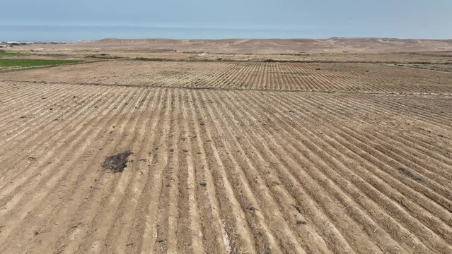 "Infertile Soil"-Bilder: Stock-Fotos & -Videos. | Adobe Stock