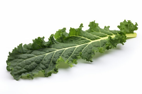 Kale Videos