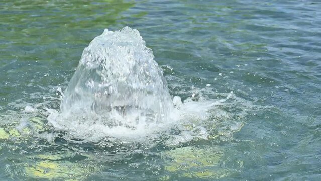 Boilermaker Images – Browse 356 Stock Photos, Vectors, and Video ...