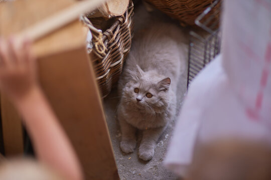 "Under The Table" Images – Browse 4,782 Stock Photos, Vectors, and ...