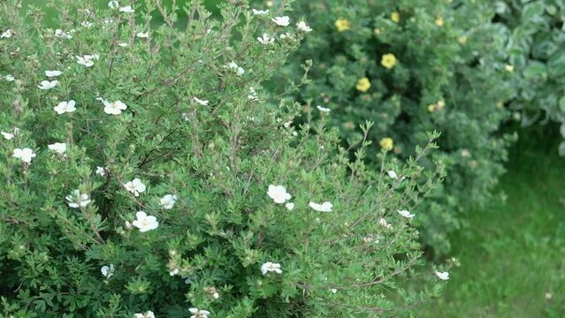 Hardhack Images – Browse 215 Stock Photos, Vectors, and Video | Adobe Stock