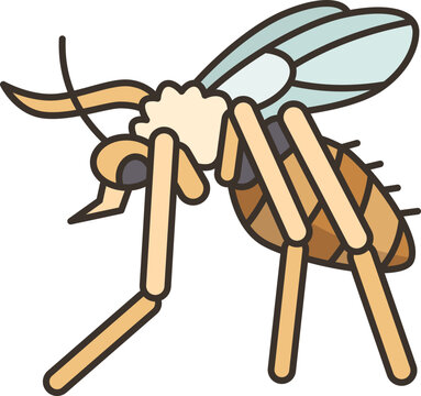 Sandfly-Bilder: Stock-Fotos & -Videos. | Adobe Stock