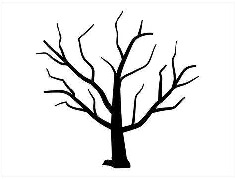 Dead Trees Silhouette