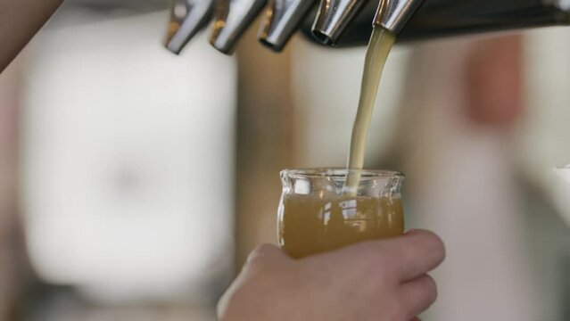 Hard Cider-Bilder: Stock-Fotos & -Videos. | Adobe Stock