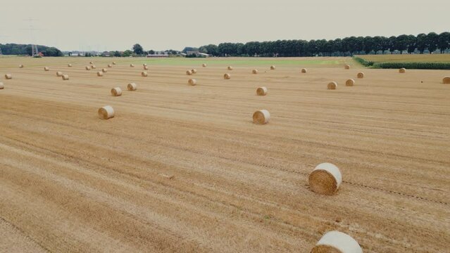 "Hay Rolls" Images – Browse 998 Stock Photos, Vectors, and Video ...