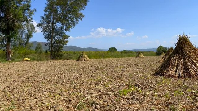 "Sun Drying" Images – Browse 995 Stock Photos, Vectors, and Video ...