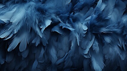 10+ Free Feather Boa Images | Free HD Downloads - Pikwizard